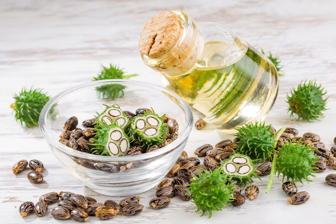 Aceite De Higuereta: Cómo Usarlo Para Mejorar Tu Salud Y Transformar Tu ...