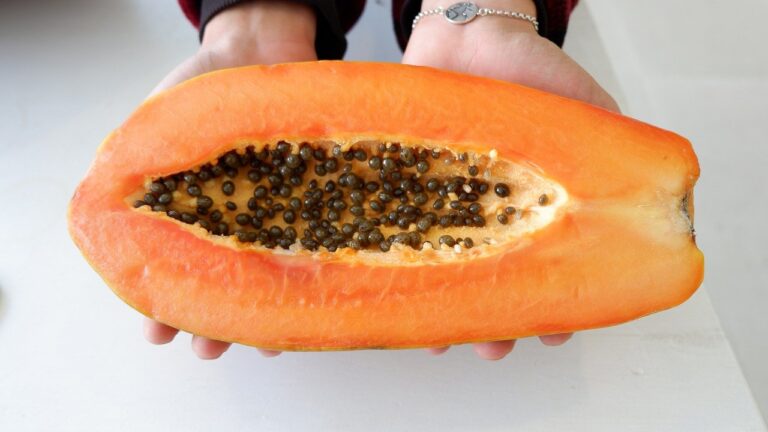 "Comer papaya todos los días: Conoce los beneficios, receta y las ...