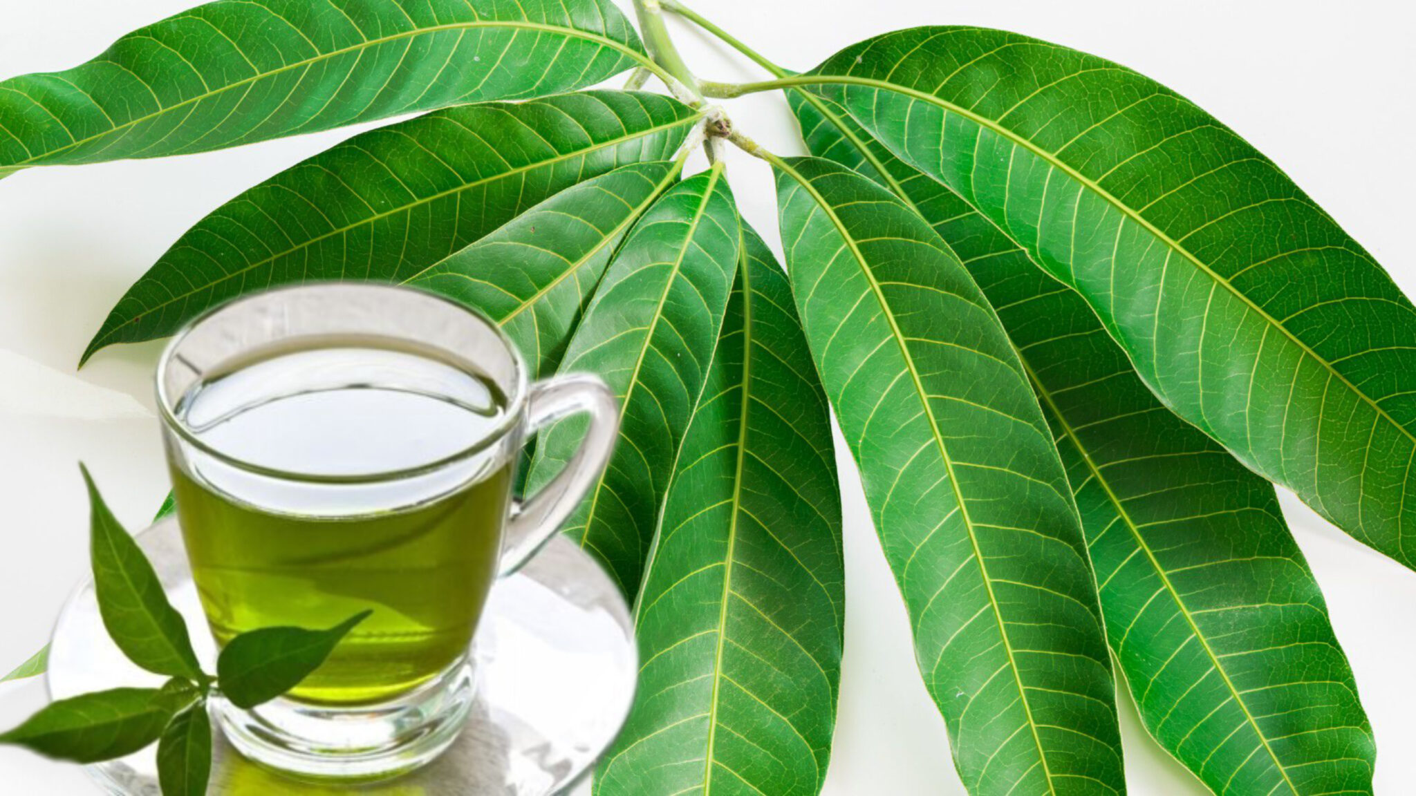 "Beneficios de las Hojas de Mango para la Salud: Usos, Recetas y ...