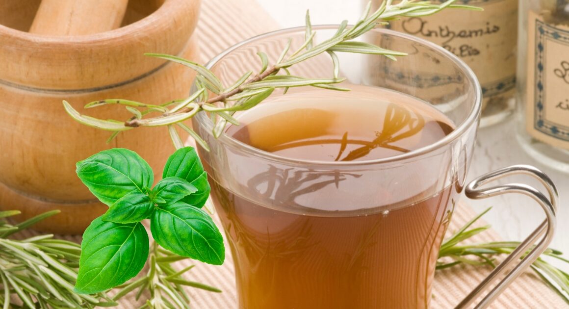 "Té de romero y albahaca para la salud: reduce el azúcar, previene la ...