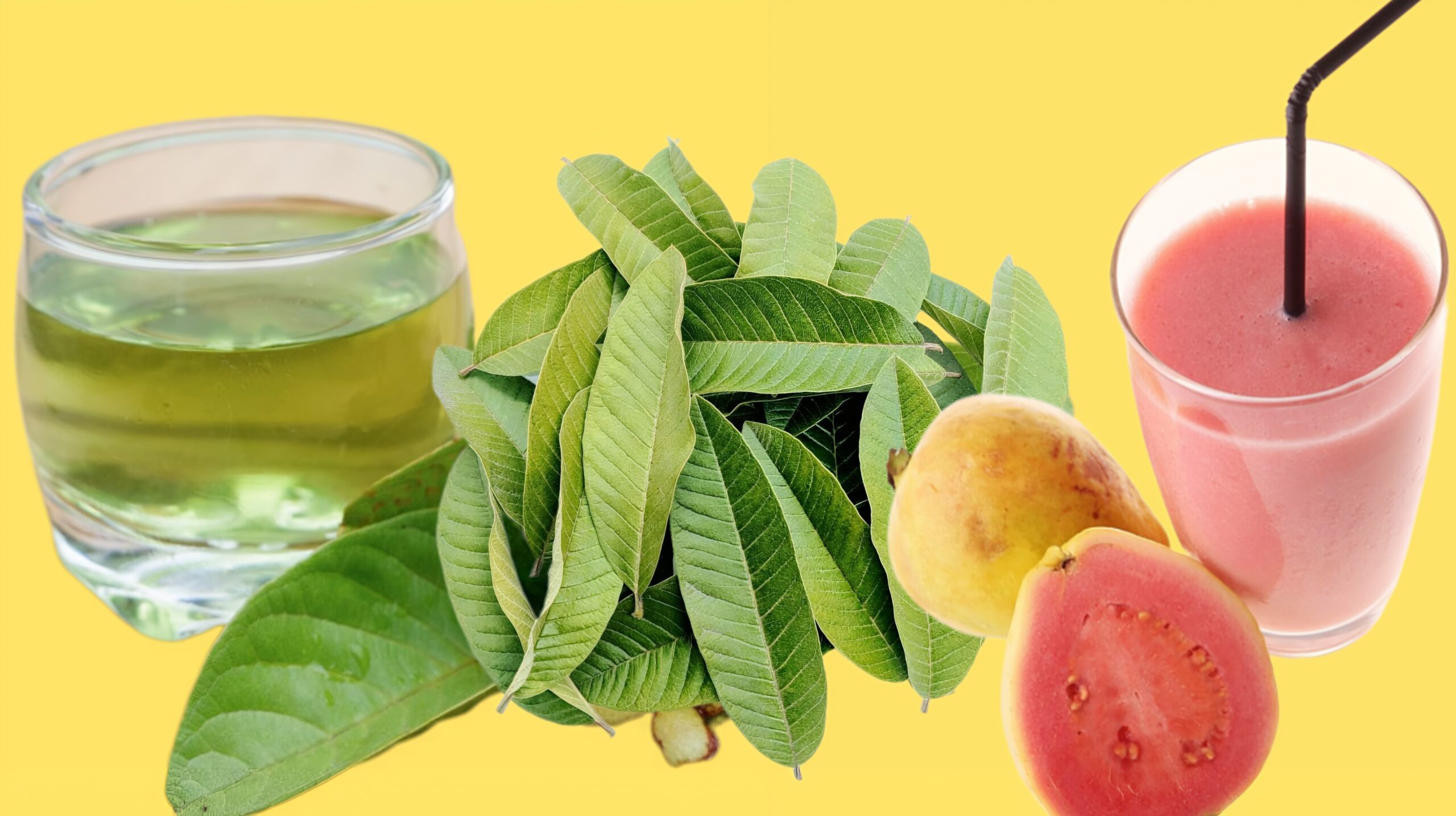 Guayaba: 20 Beneficios Comprobados, Propiedades y Recetas en Té y Jugo ...